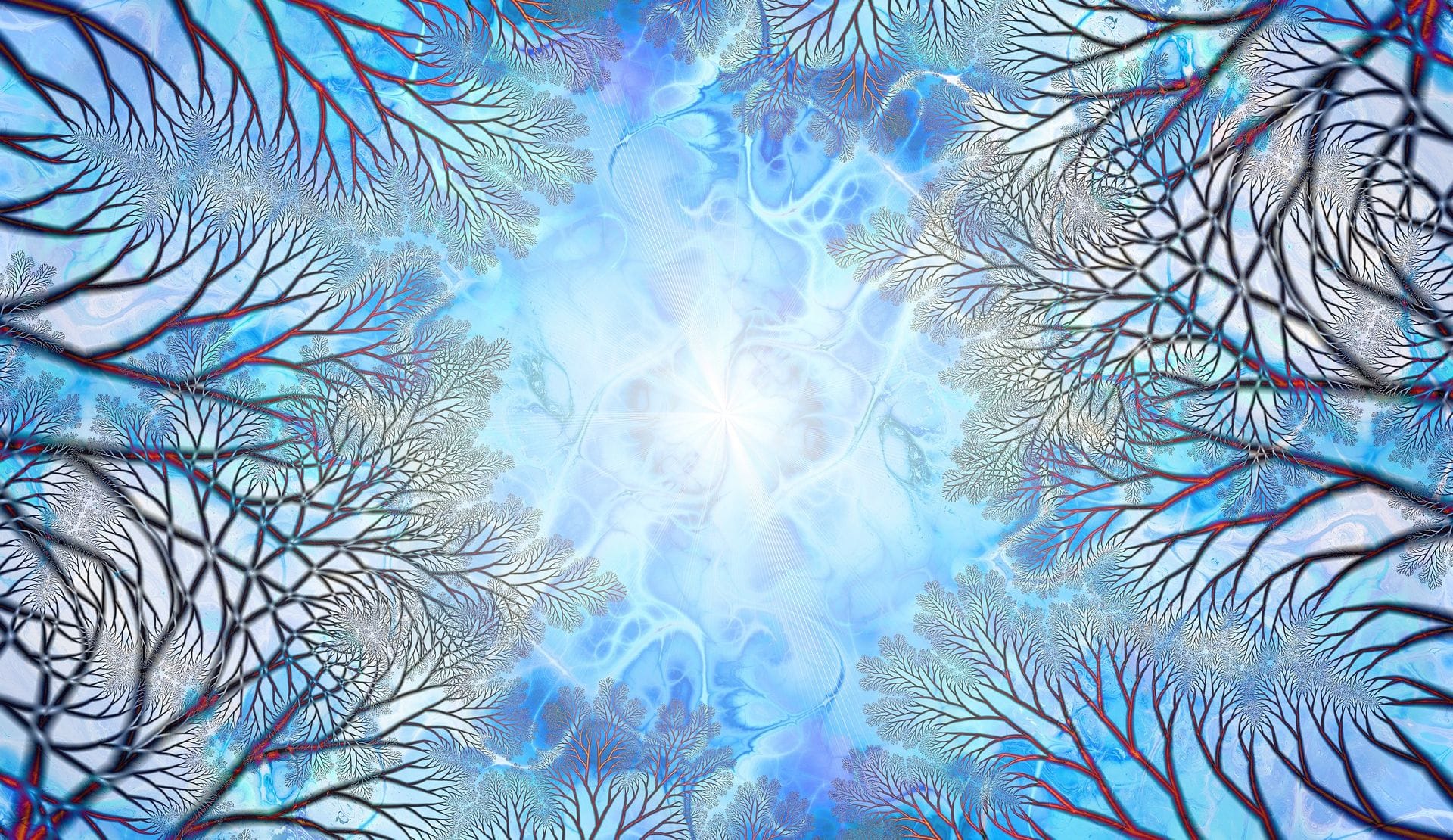 Over Nucleus Coaching - Nucleus Opleidingen